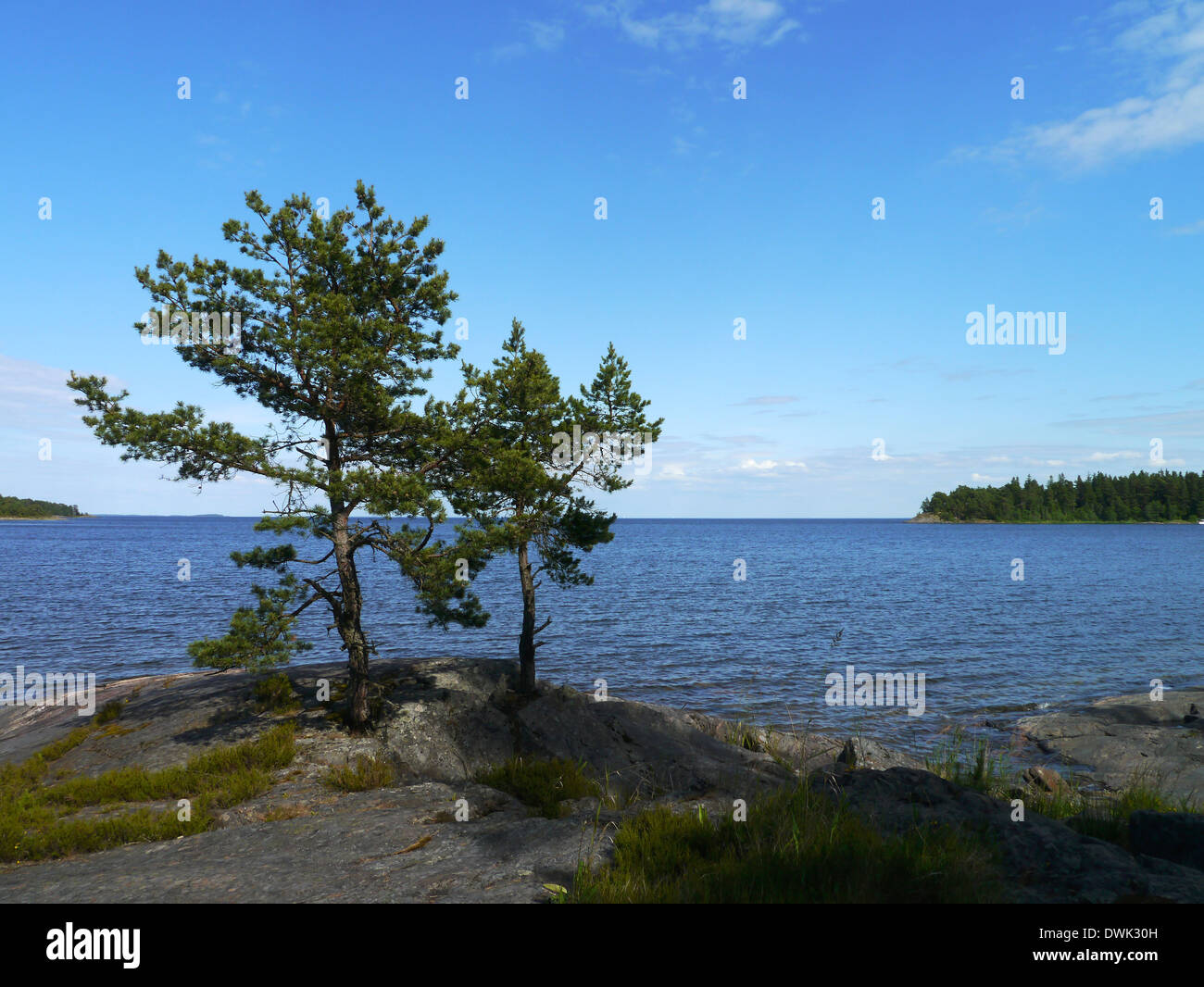 Lakeview pines hi-res stock photography and images - Alamy