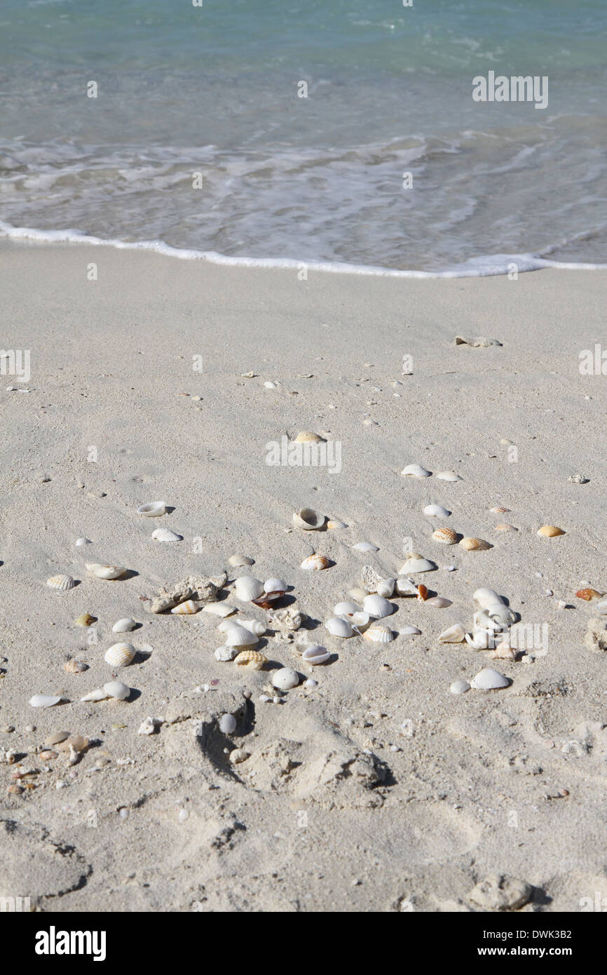 Beach in Dubai, UAE Stock Photo - Alamy