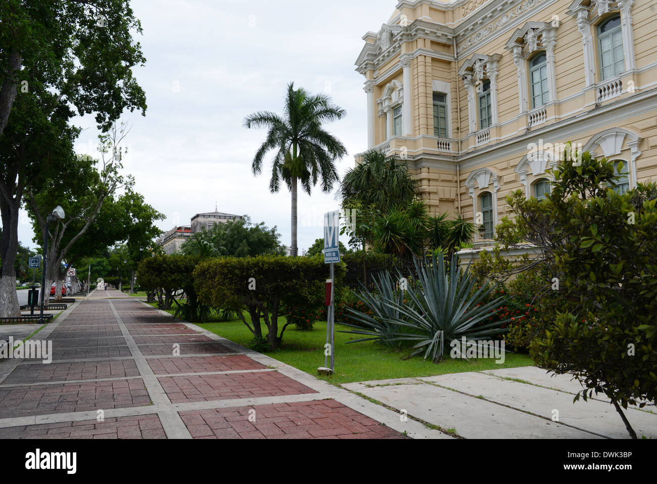 Canton palace museum hi-res stock photography and images - Alamy