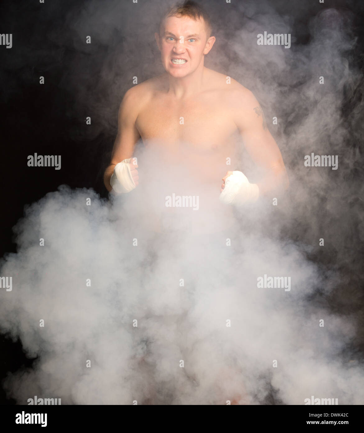 Young mean ambitious young boxer snarling at the camera over wafting ...