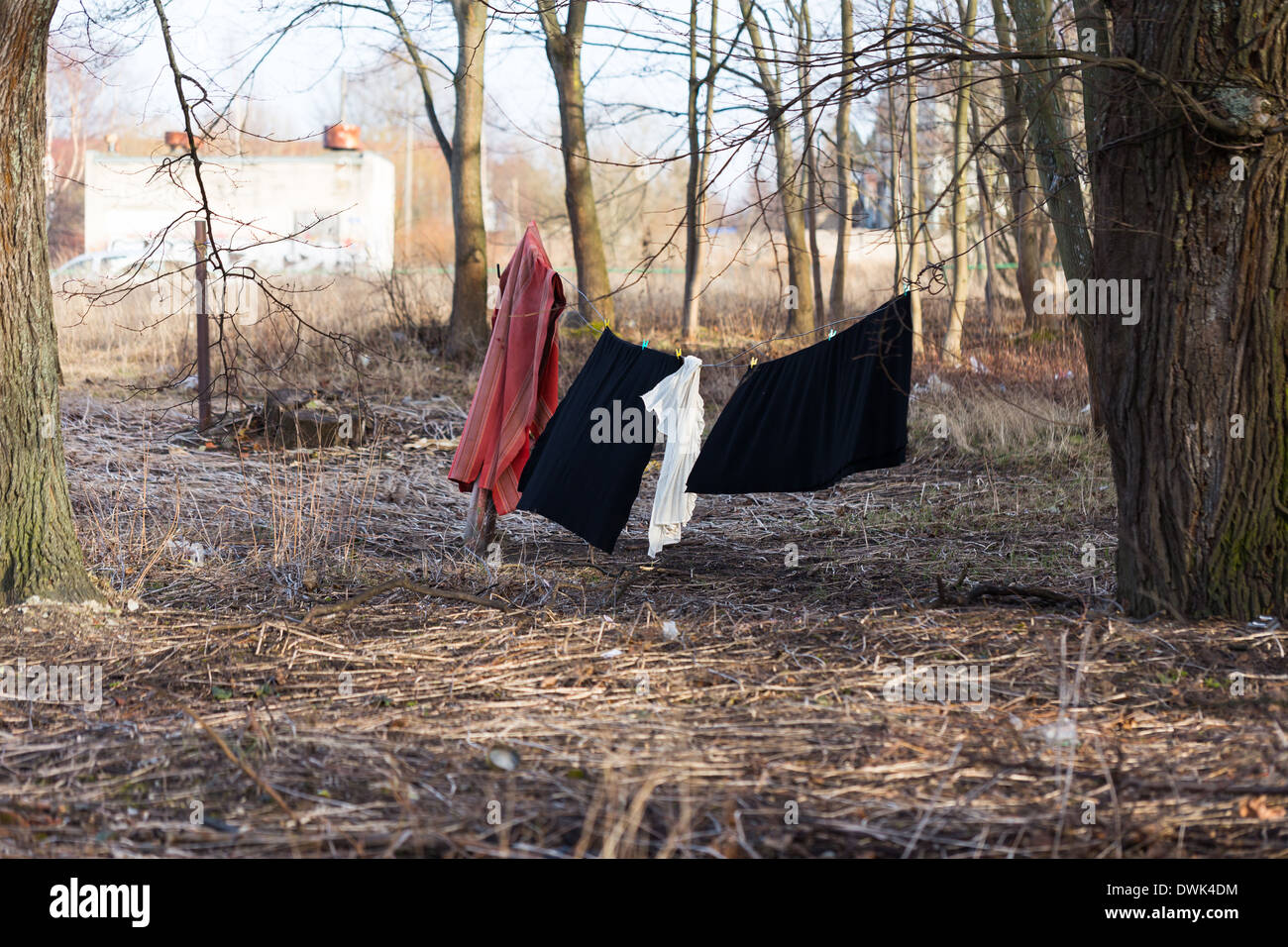laundry drying in the breeze under the tree Stock Photo - Alamy
