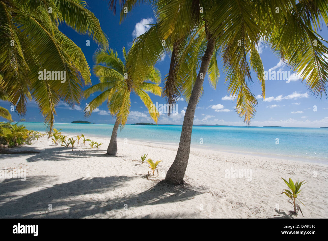 Tropical beach on a small island in Aitutaki Lagoon in the Cook Islands ...
