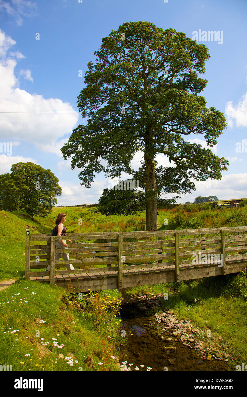 Woman Hiker walking over footbridge near Gilsland Hadrian's Wall ...