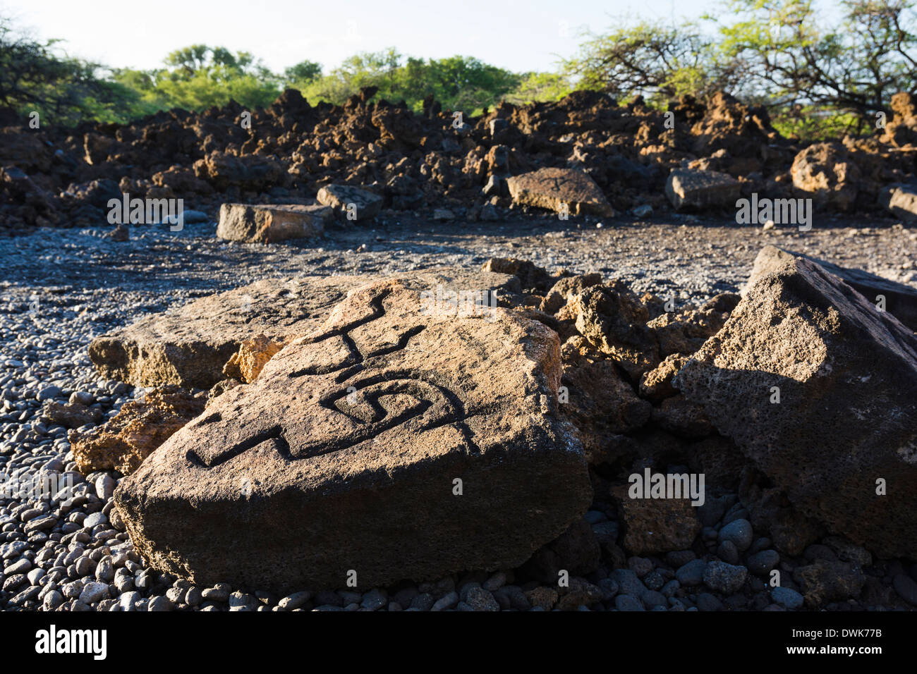 Puako petroglyphs archaeological preserve hi-res stock photography and ...