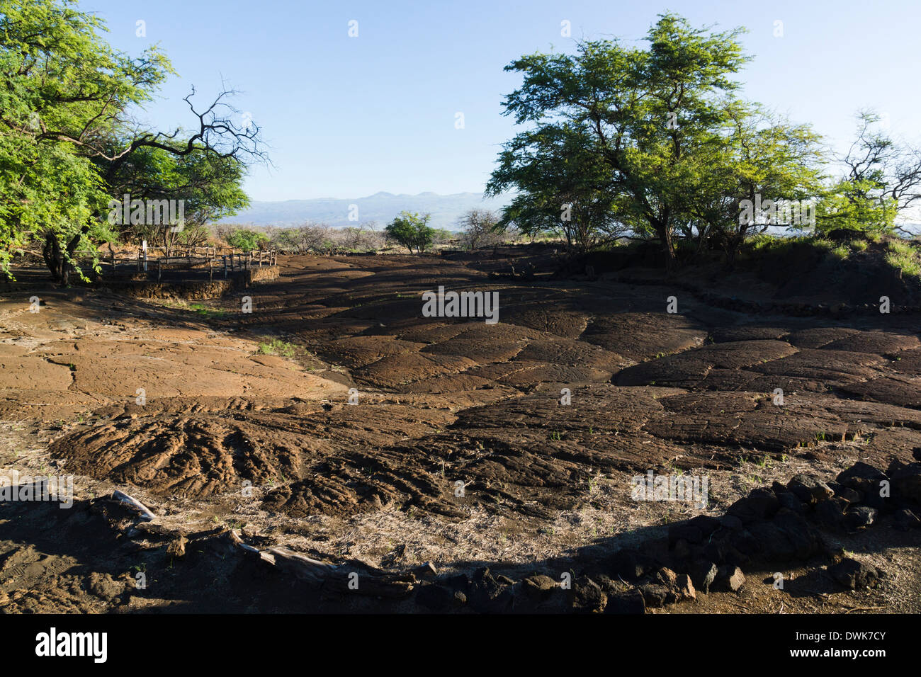 Puako petroglyphs archaeological preserve hi-res stock photography and ...