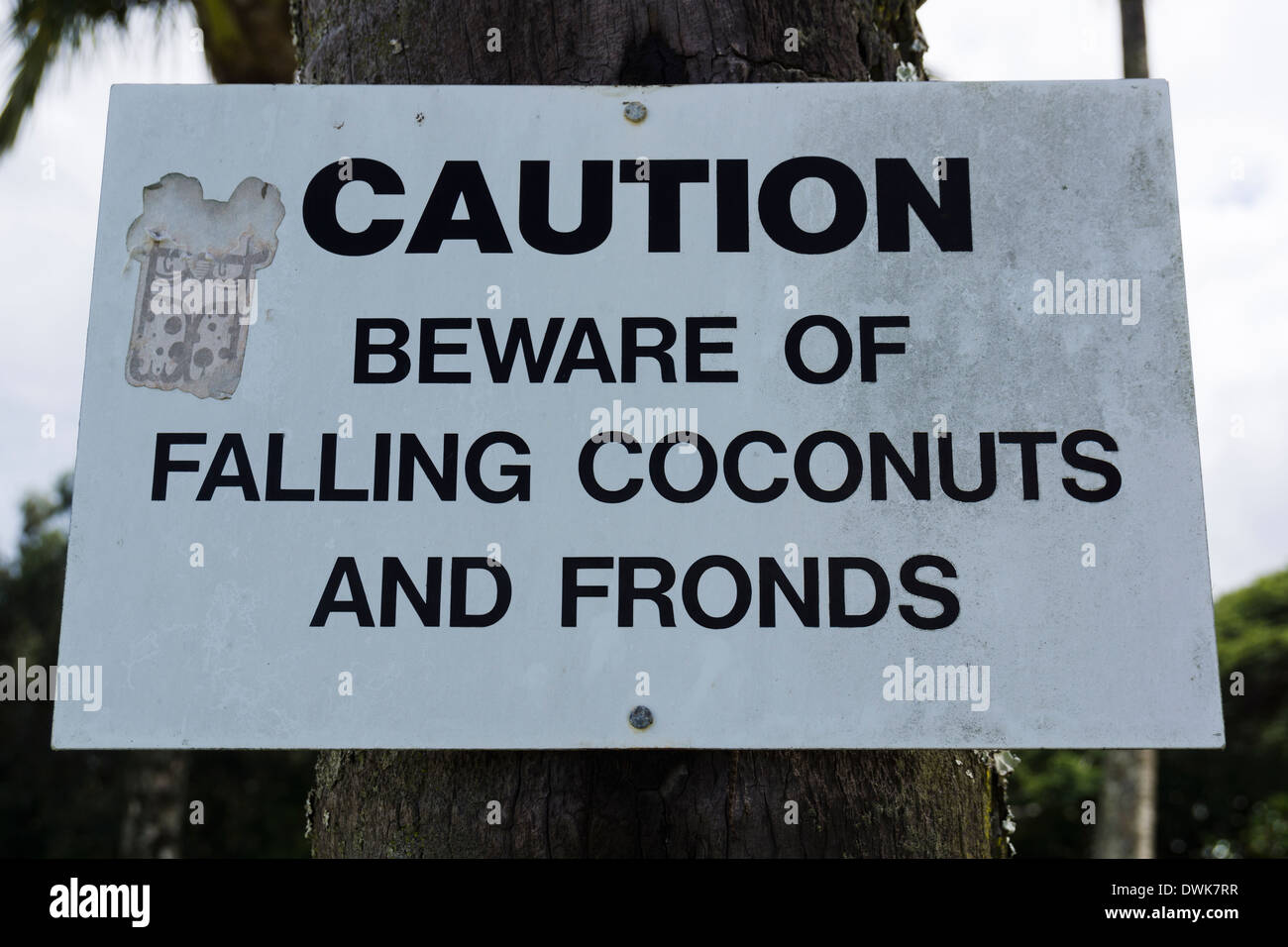 Beware Of Falling Coconuts High Resolution Stock Photography and Images ...