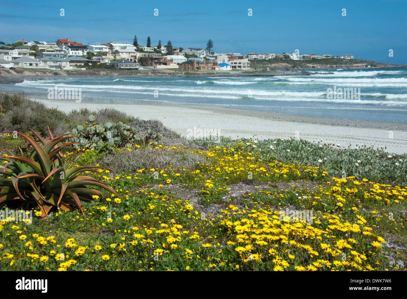 Yzerfontein Beach High Resolution Stock Photography and Images - Alamy