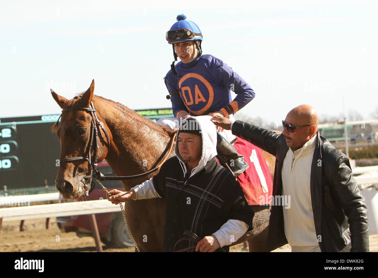 Jamaica, New York, USA. 1st Mar, 2014. Strapping Groom with Irad Ortiz ...