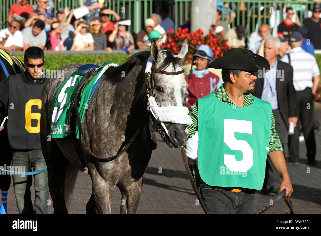 Jose Lezcano High Resolution Stock Photography and Images - Alamy