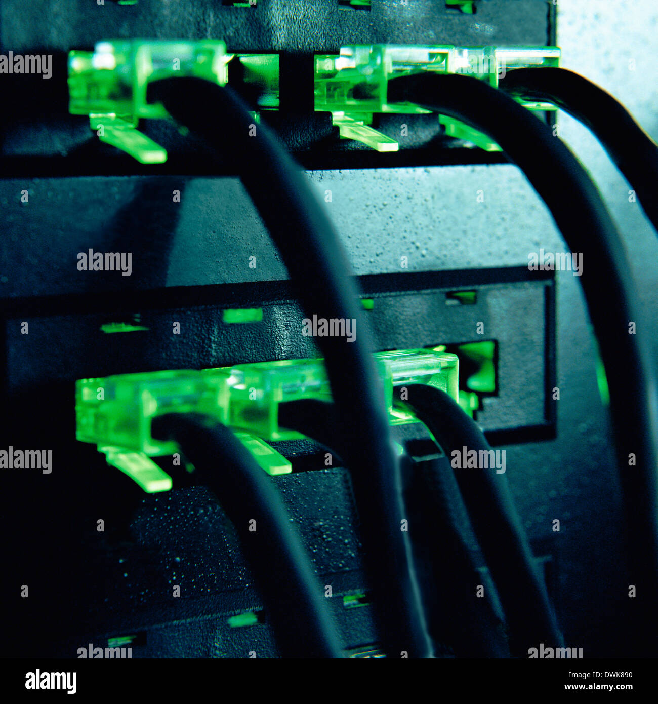 cables with plugs illuminated by green light Stock Photo - Alamy