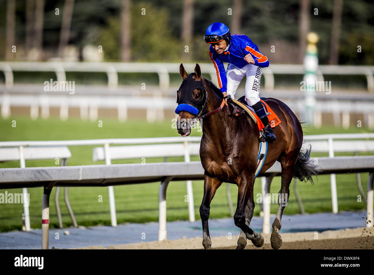 Arcadia, CA, USA. 8th Mar, 2014. Game on Dude, ridden by Mike Smith wins the Santa Anita ...