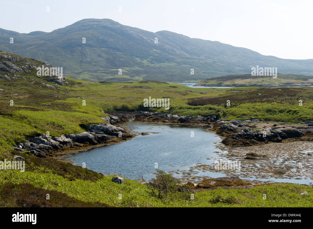 Ben na hoe hi-res stock photography and images - Alamy