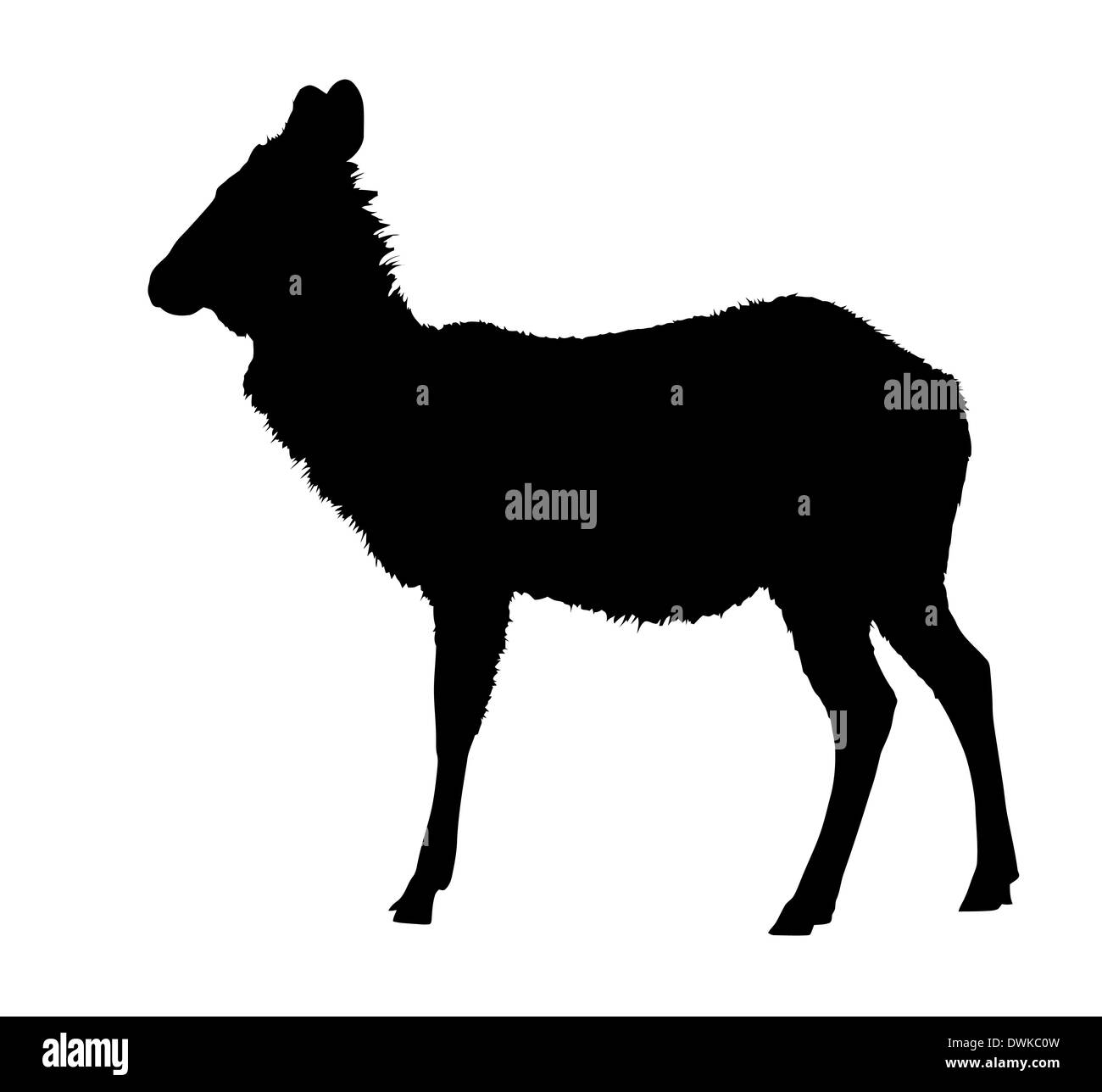 Doe Profile Silhouette