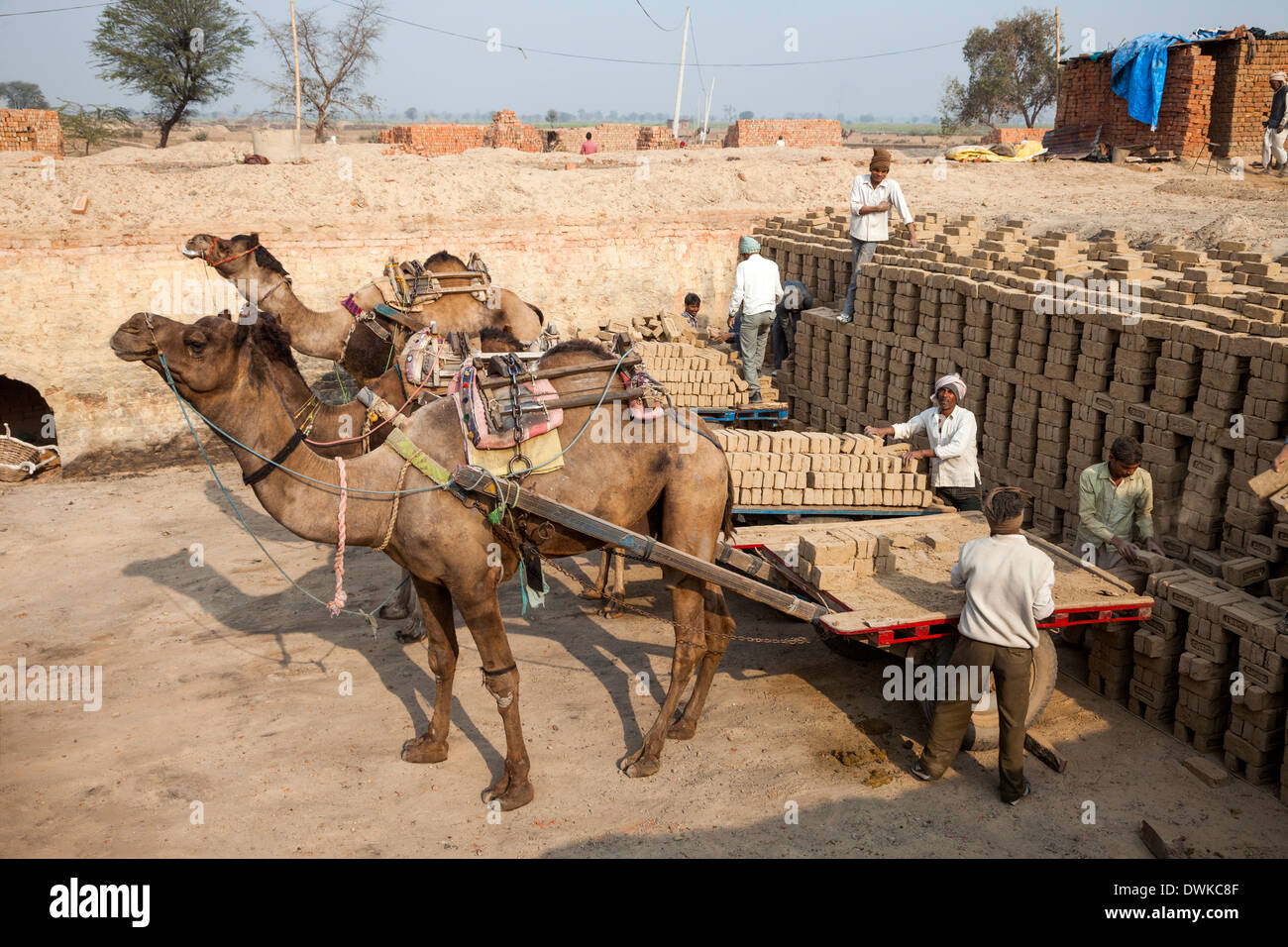 Unfired brick hi-res stock photography and images - Alamy