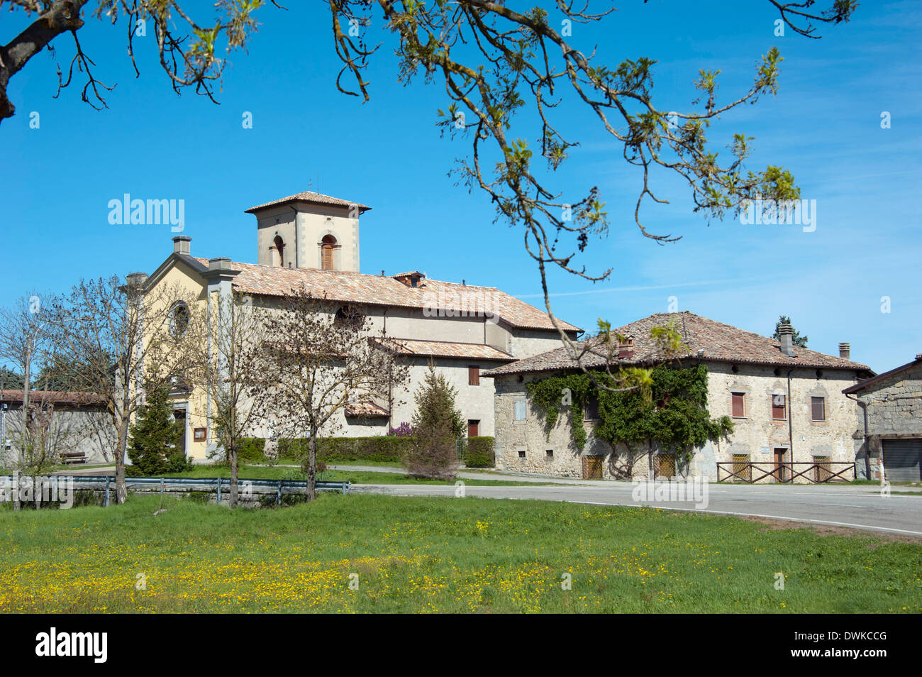 Verica hi-res stock photography and images - Alamy