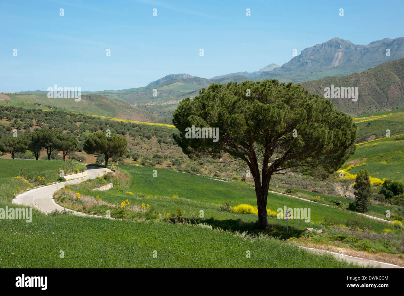 Road italian landscapes hi-res stock photography and images - Alamy
