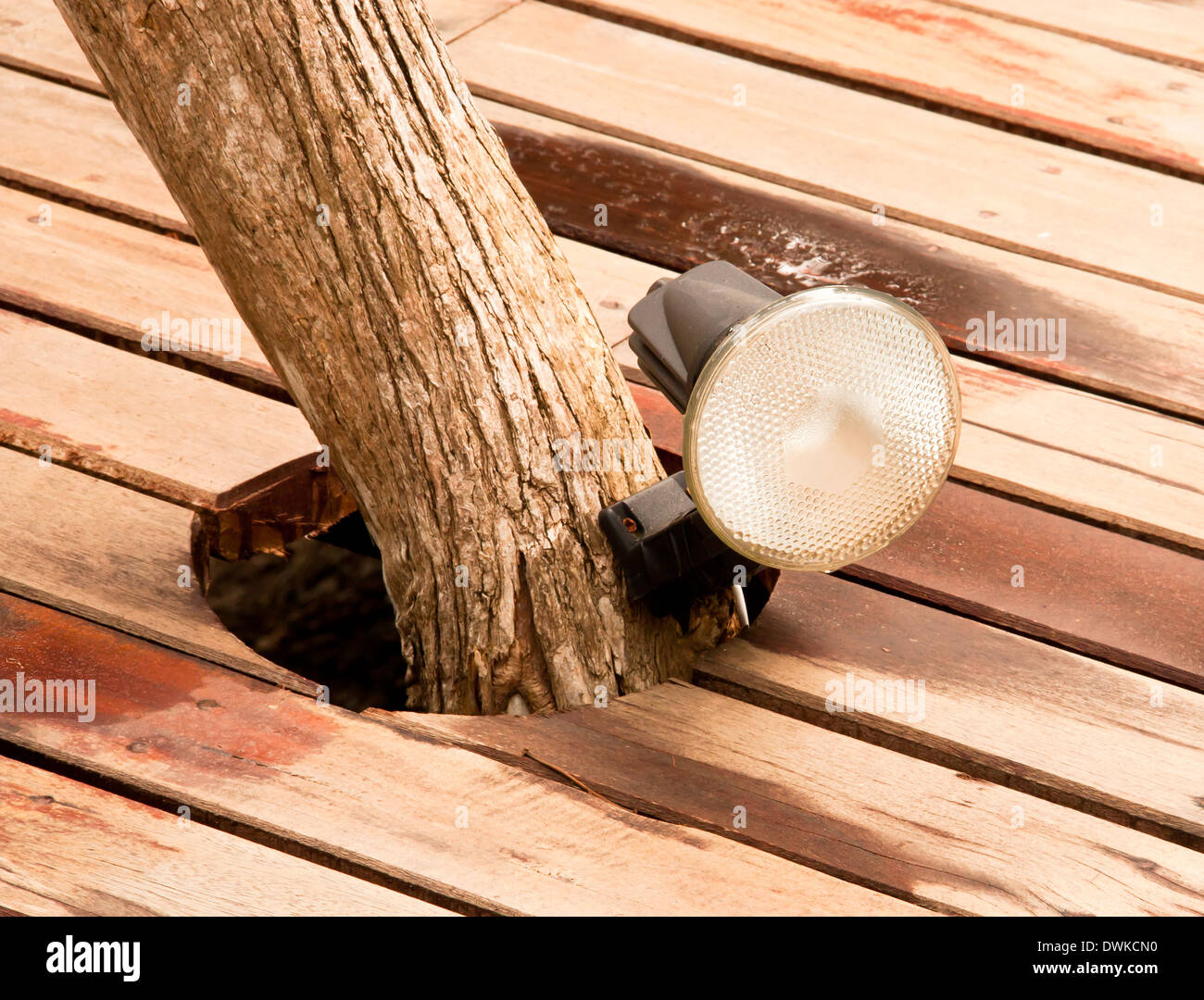 Light path to the wooden area Stock Photo - Alamy