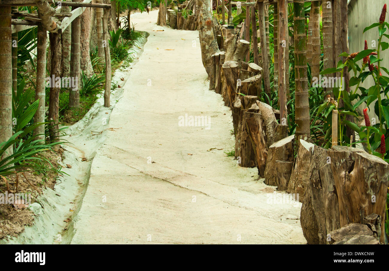 Concrete pavement, surrounded by trees in the resort Stock Photo - Alamy