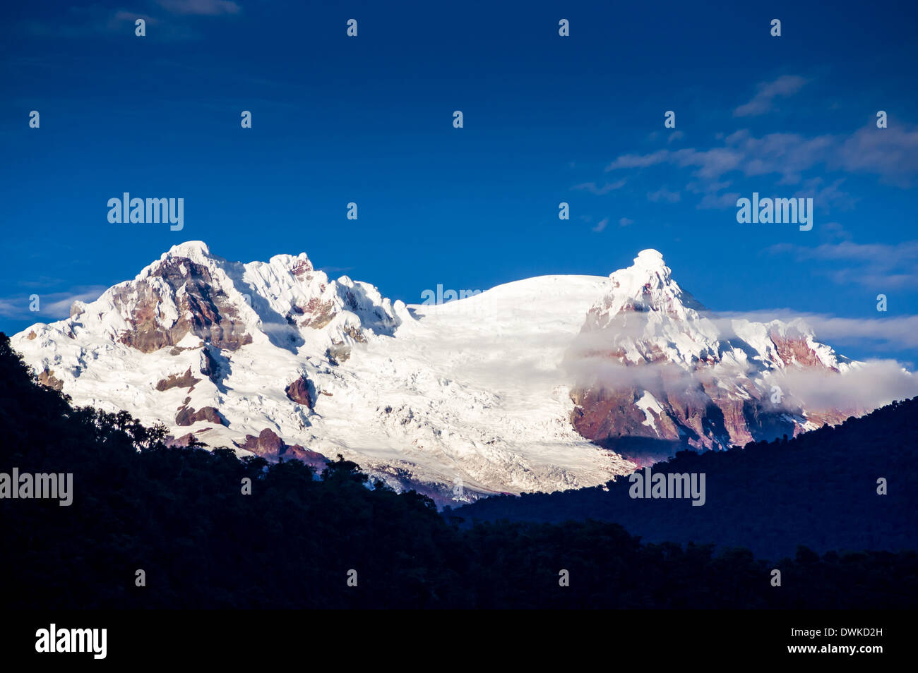 Antisana national park hi-res stock photography and images - Alamy