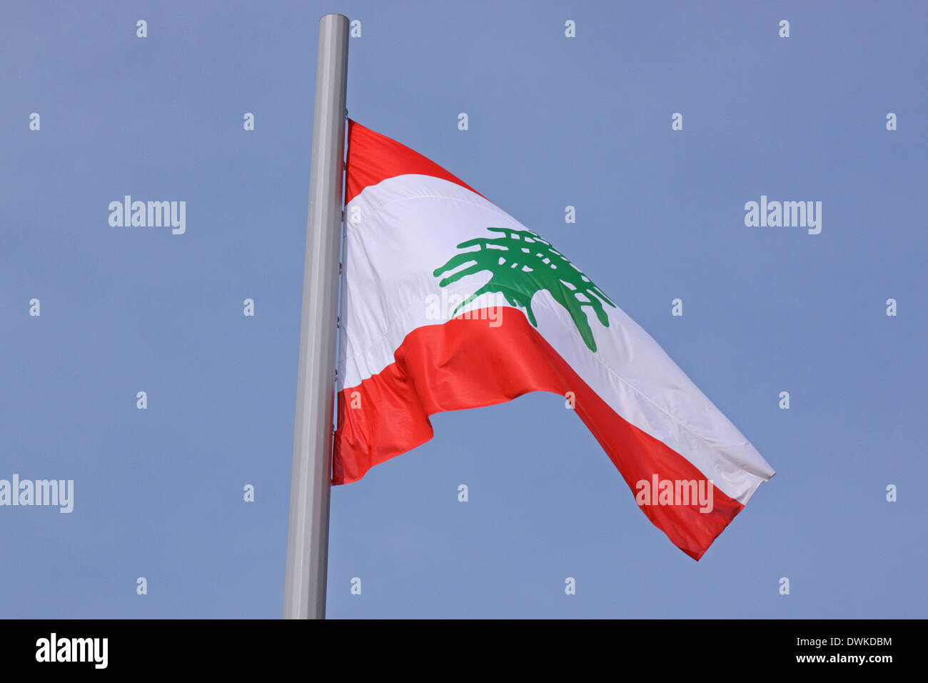 Official Lebanese Flag