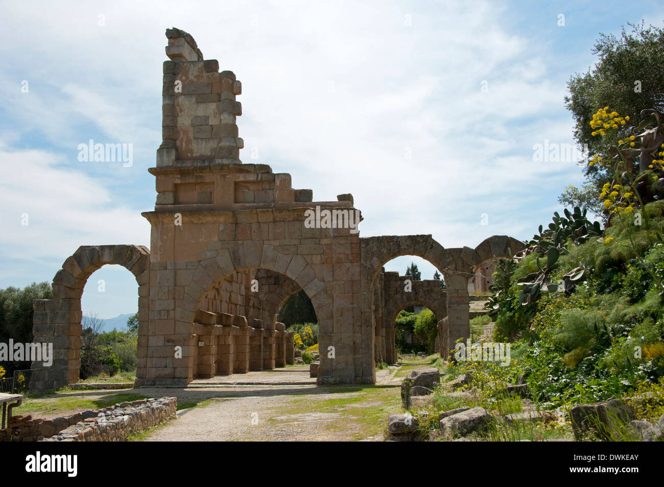 Roman Basilica, Tindari Stock Photo - Alamy