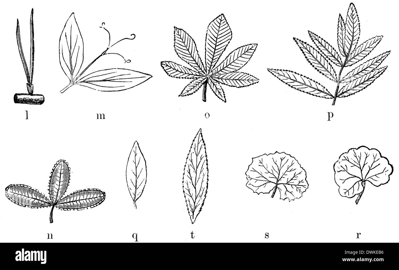 Shapes Cut Out Stock Images & Pictures - Alamy