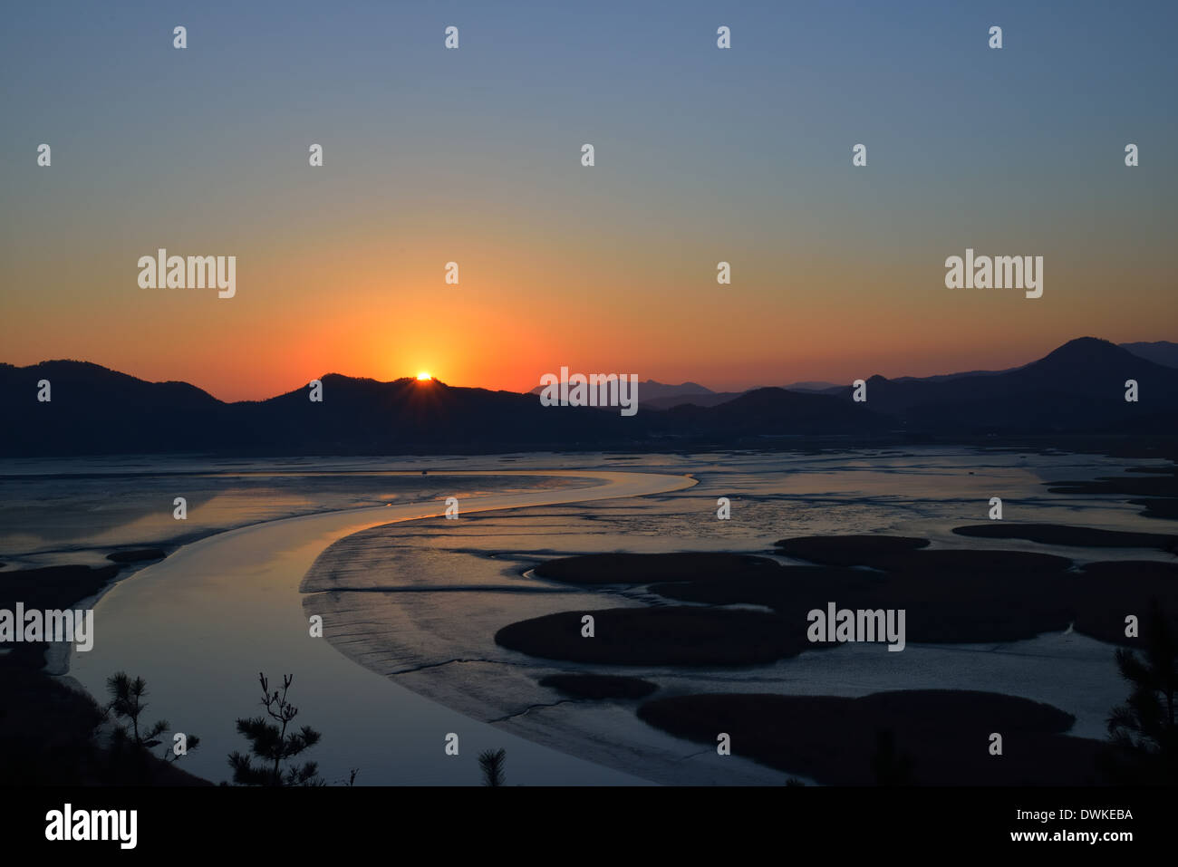 Sunset of Reeds field in Suncheon Bay in Korea Stock Photo - Alamy