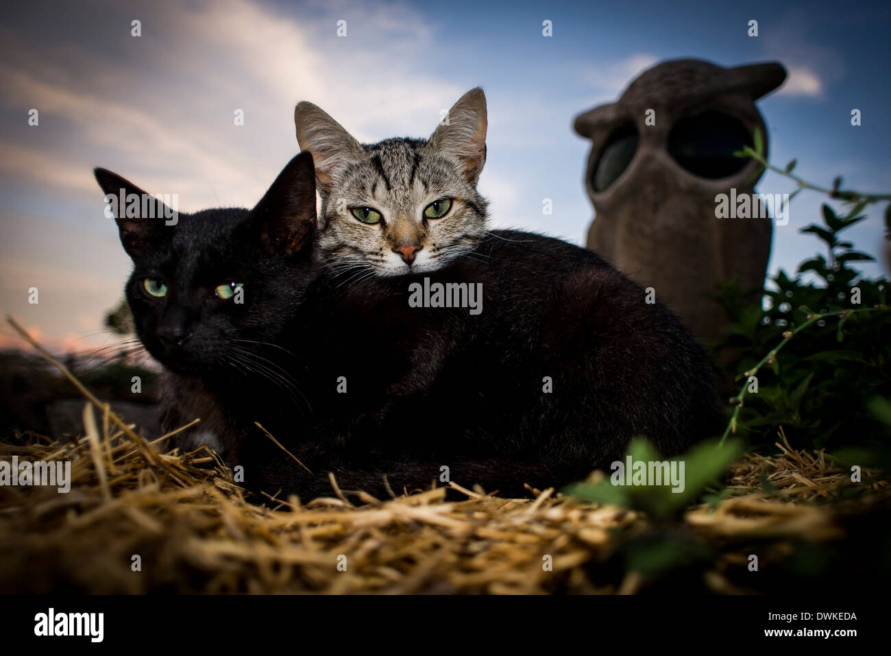 Darlington Dam High Resolution Stock Photography and Images - Alamy