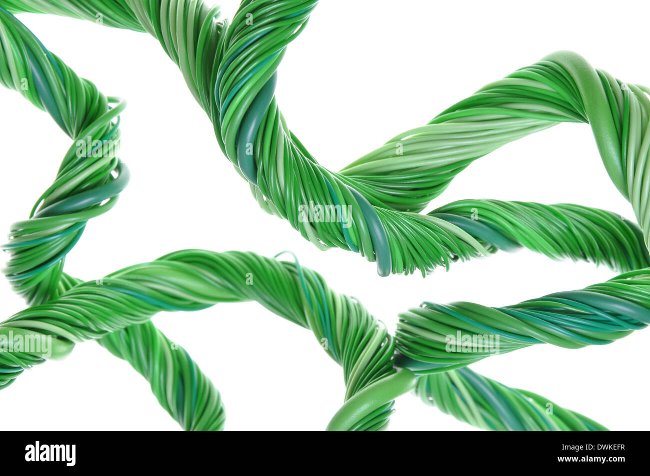 Green computer cable isolated on white background Stock Photo - Alamy