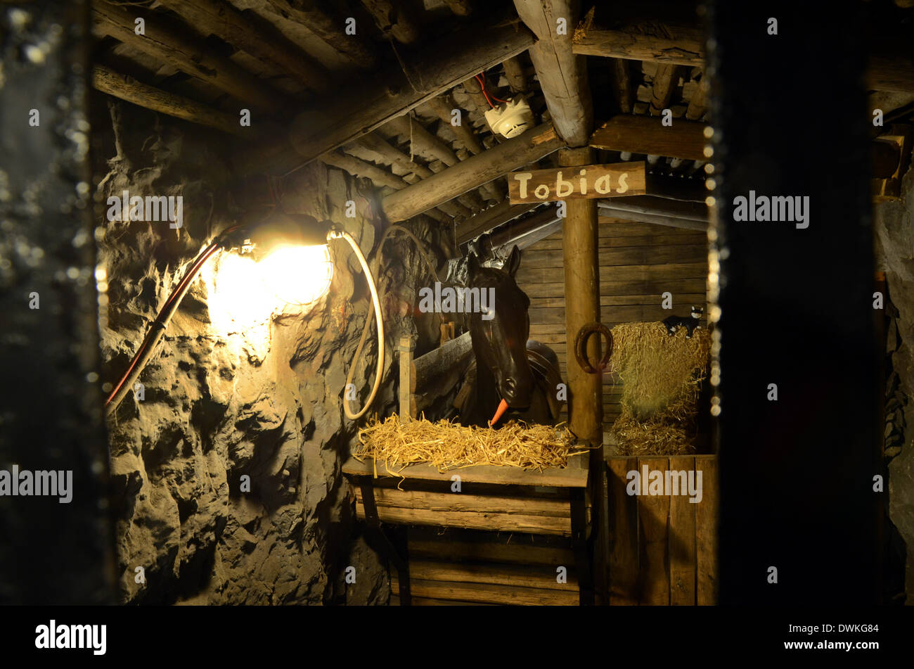 The replica of the mining horse 'Tobias', one of the last mining horses ...