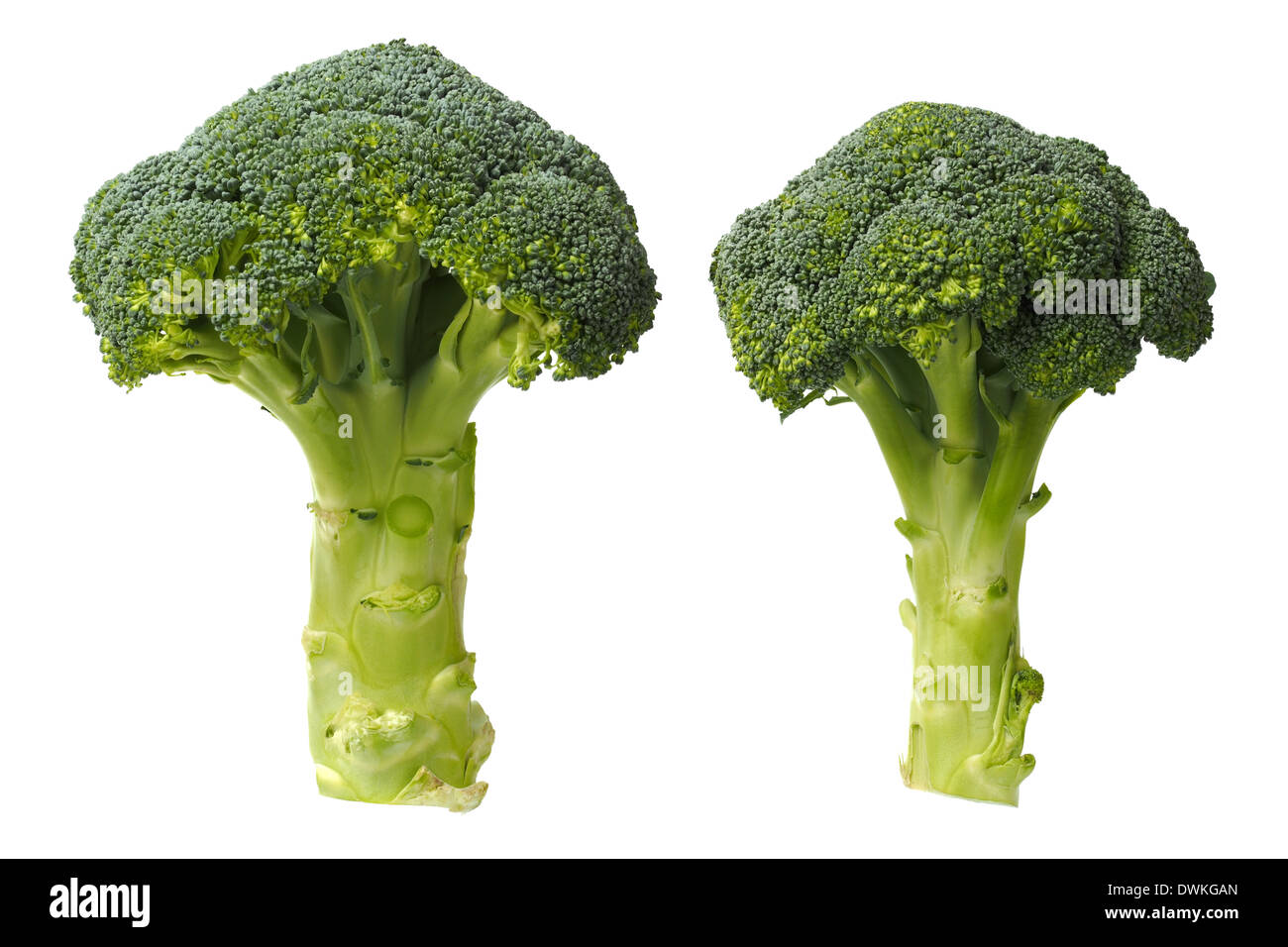 Two broccoli on white Stock Photo - Alamy