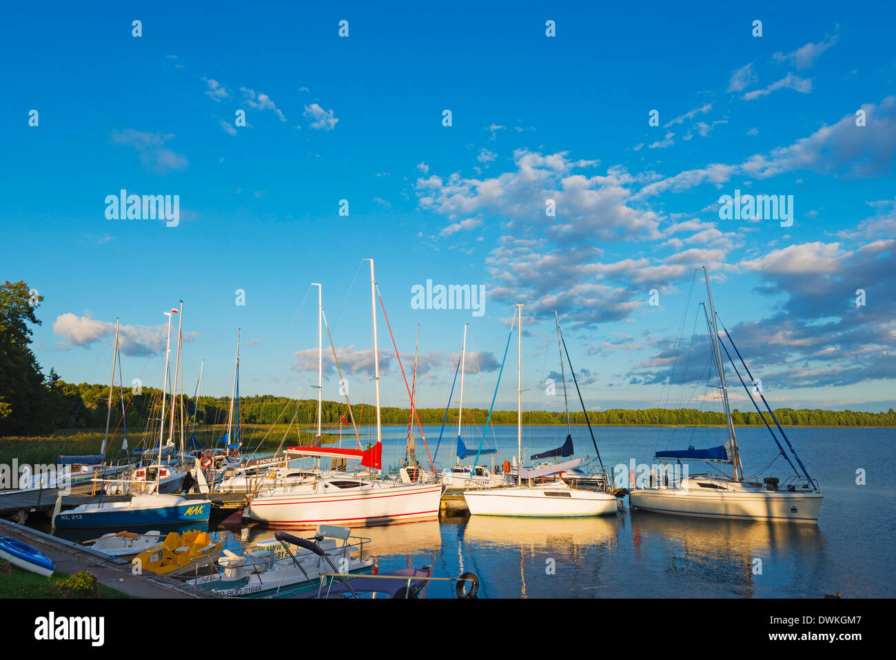 Lake Wigry, Wigry National Park, Poland, Europe Stock Photo - Alamy