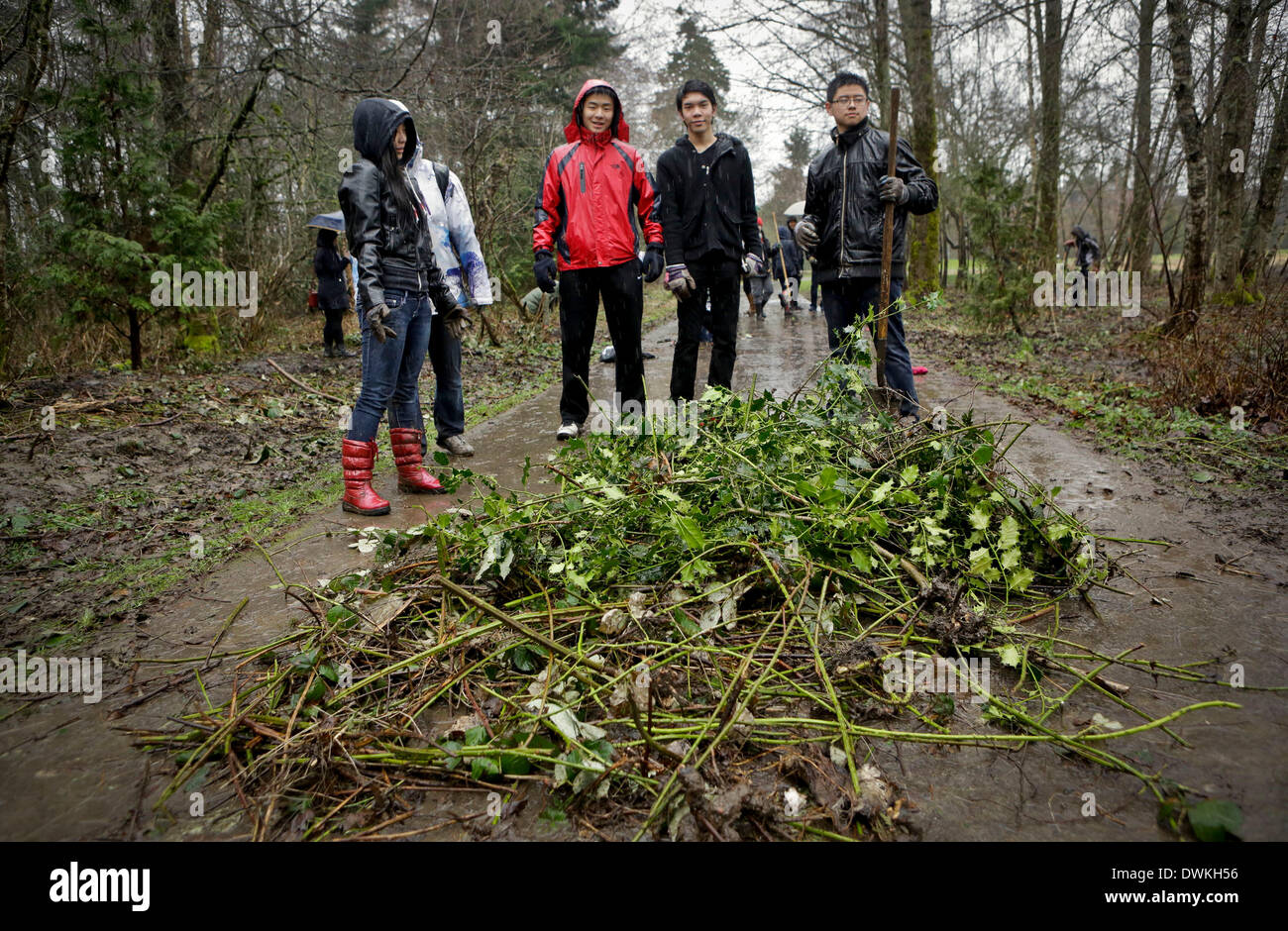 Remove invasive species hi-res stock photography and images - Alamy