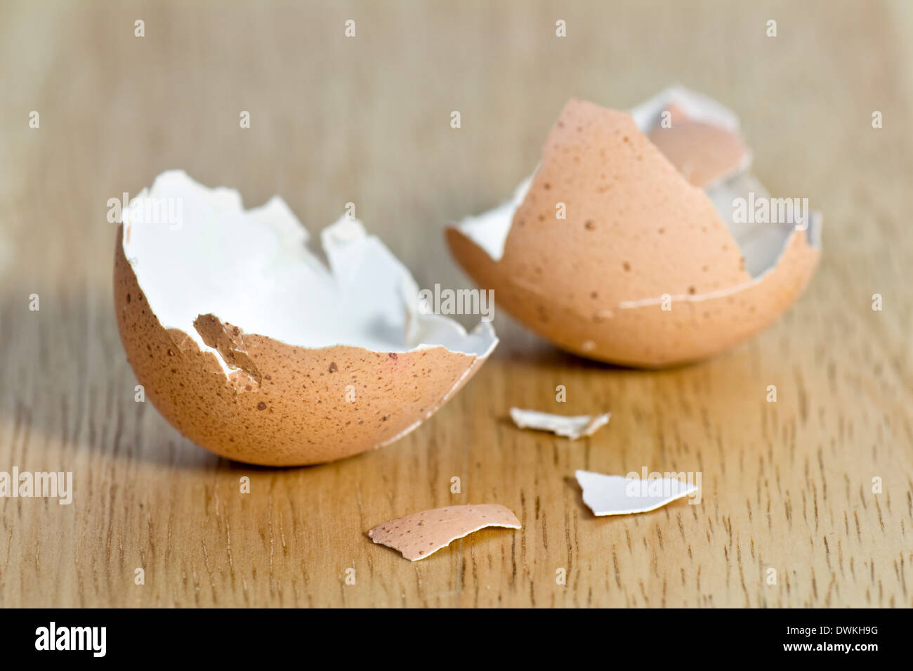 Egg shell shells hi-res stock photography and images - Alamy