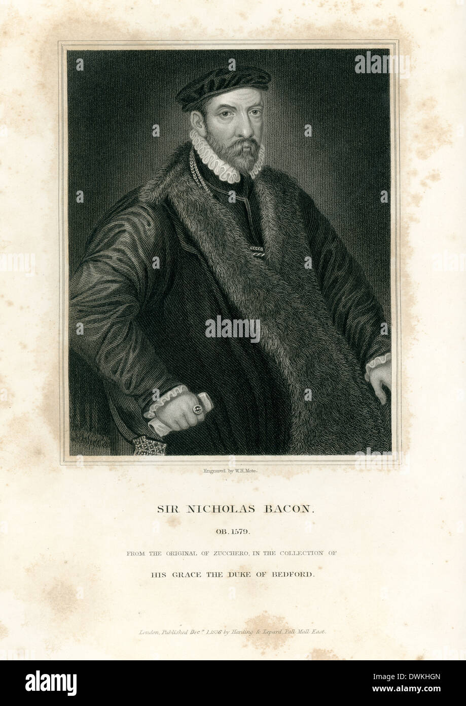 Nicholas bacon hi-res stock photography and images - Alamy