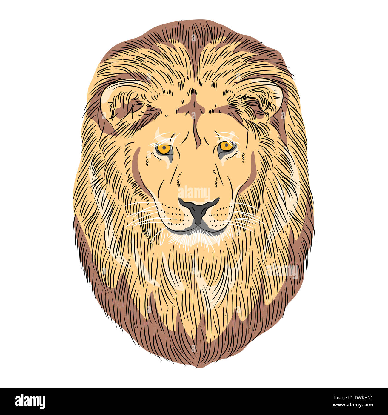 Where the wild beasts are Cut Out Stock Images & Pictures - Alamy