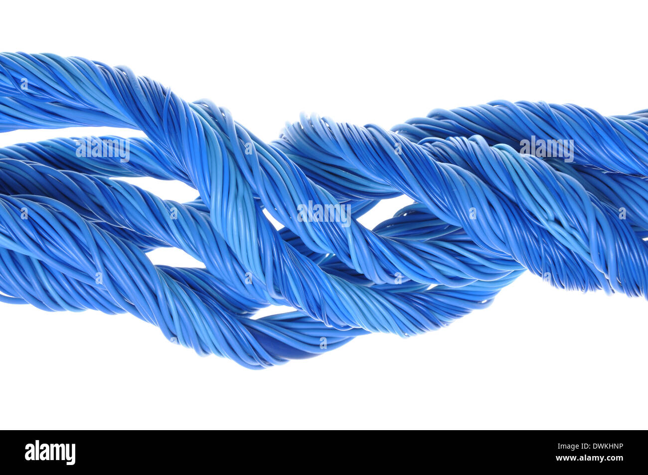 Blue computer cables isolated on white background Stock Photo - Alamy