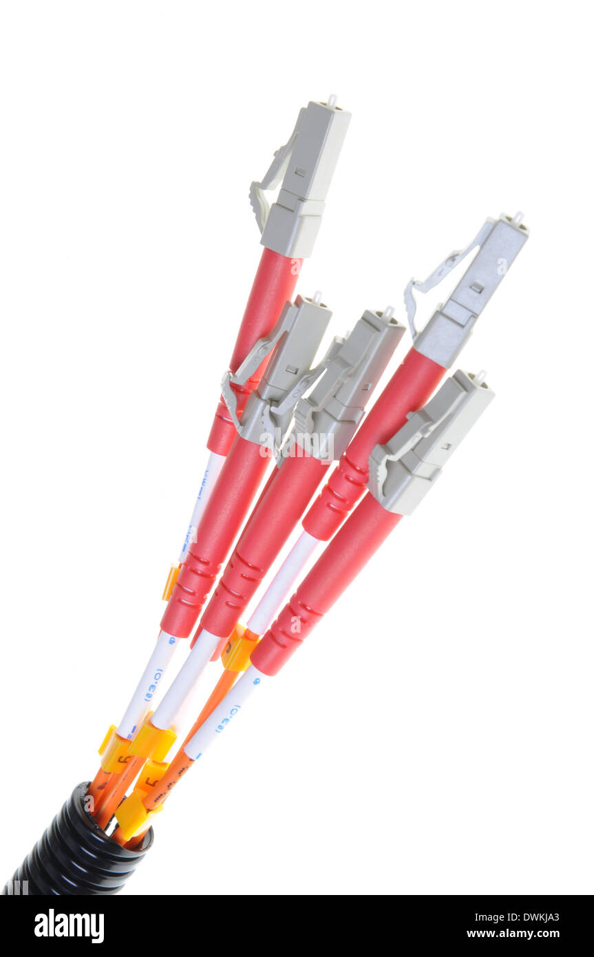 Optical patch cords isolated on white background Stock Photo - Alamy