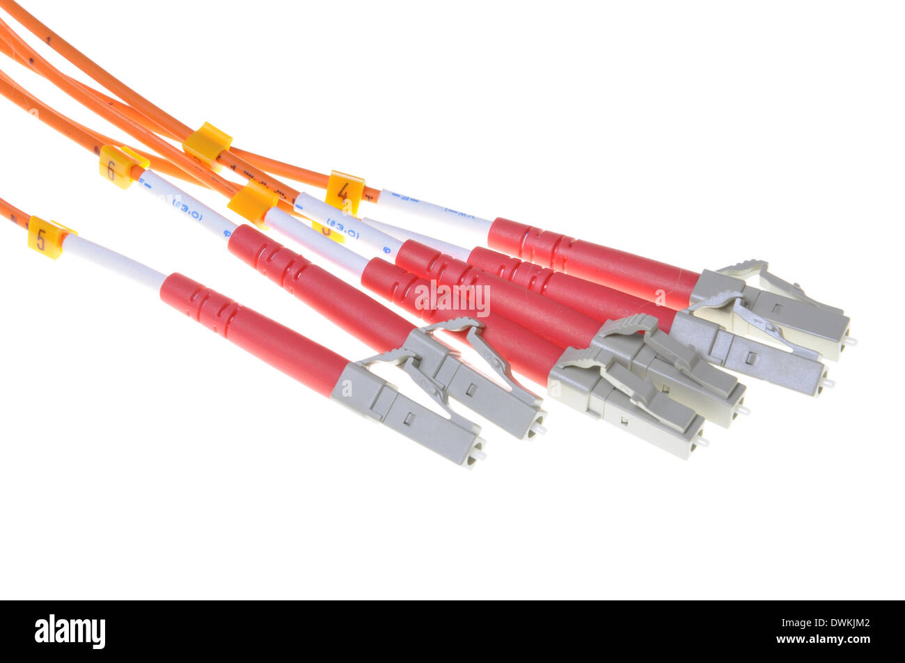 Optical patch cords isolated on white background Stock Photo - Alamy