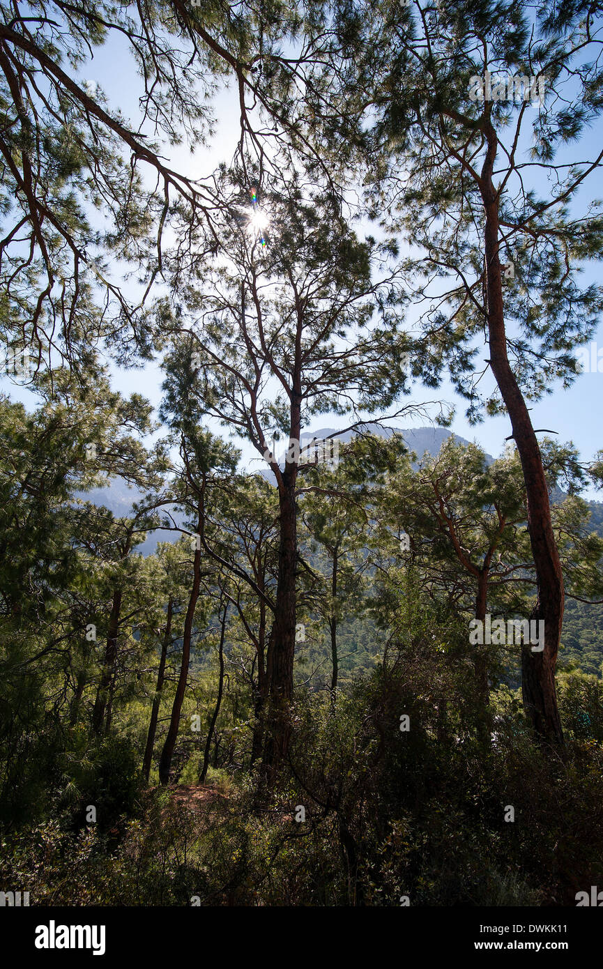 TURKEY, KABAK VALLEY: In southern Turkey around Fethiye and Dalaman are ...
