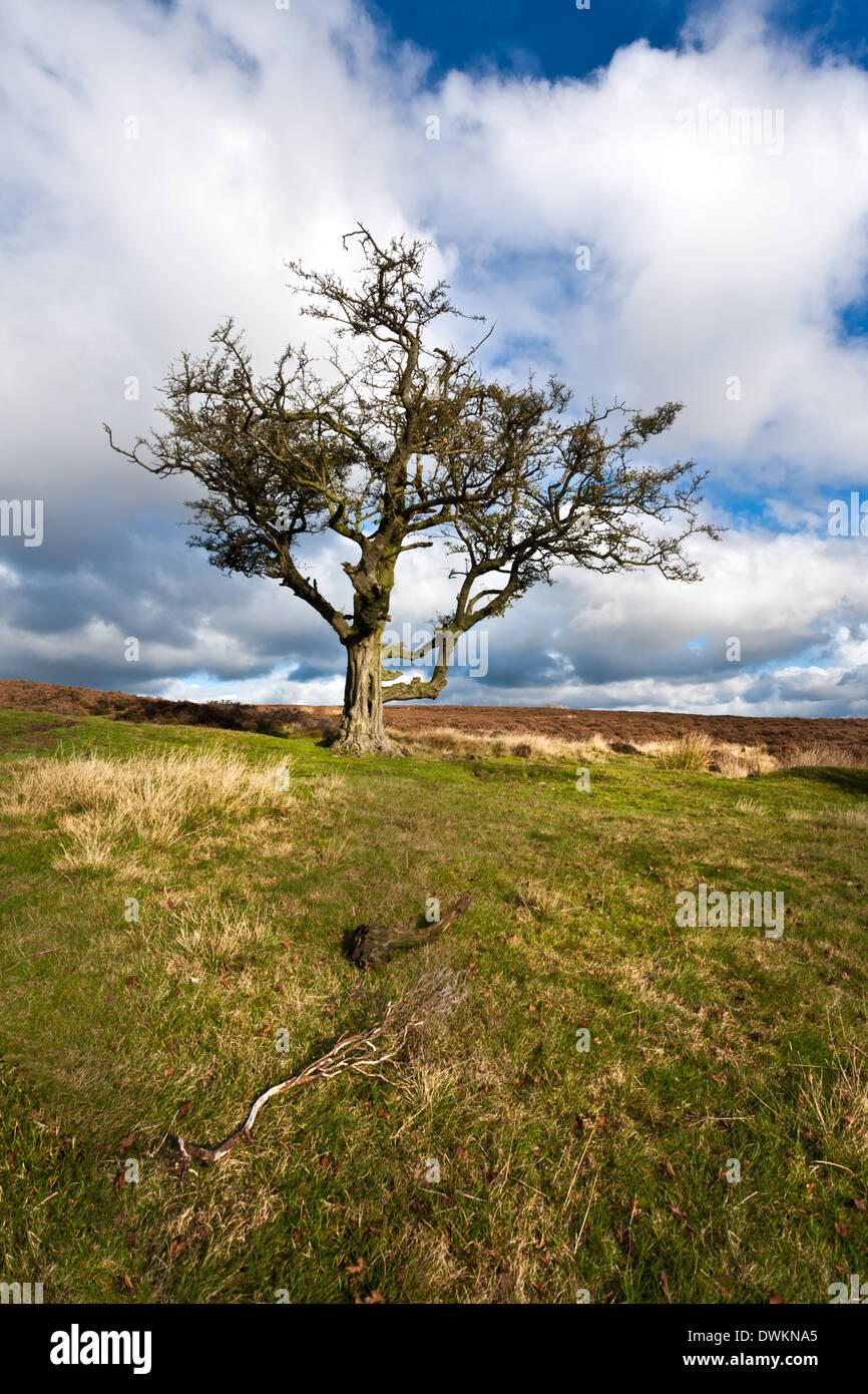 Yorkshirelandscape hi-res stock photography and images - Alamy