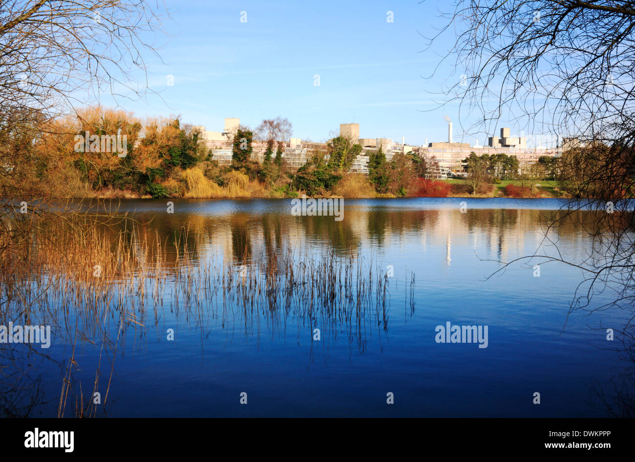 Uea design hi-res stock photography and images - Alamy