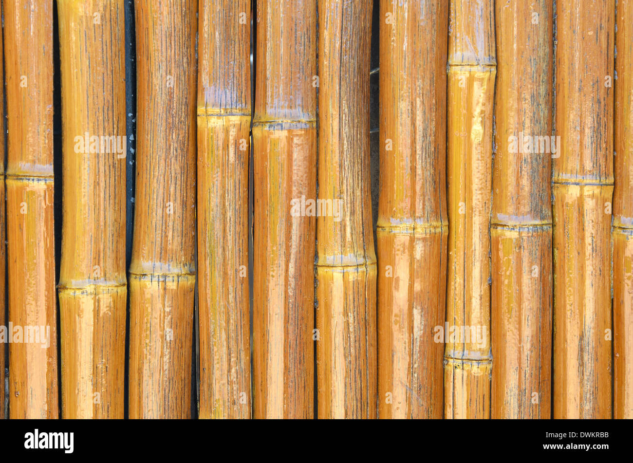Bamboo door hi-res stock photography and images - Alamy