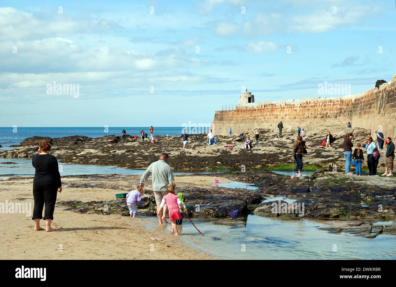Rock Pools Cornwall High Resolution Stock Photography and Images - Alamy