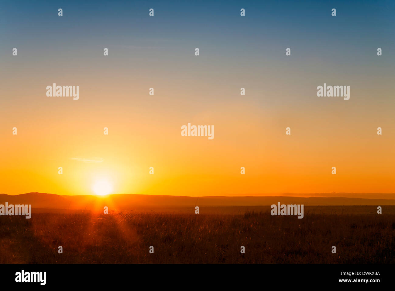 African sunset, Kenya, East Africa, Africa Stock Photo - Alamy