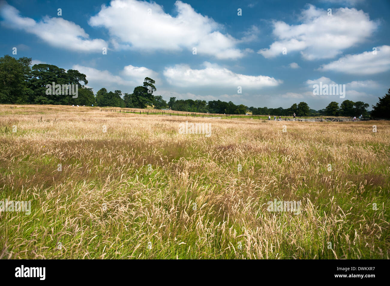 Barracks Layout, Chesters Roman Fort, Northumbria Stock Photo - Alamy