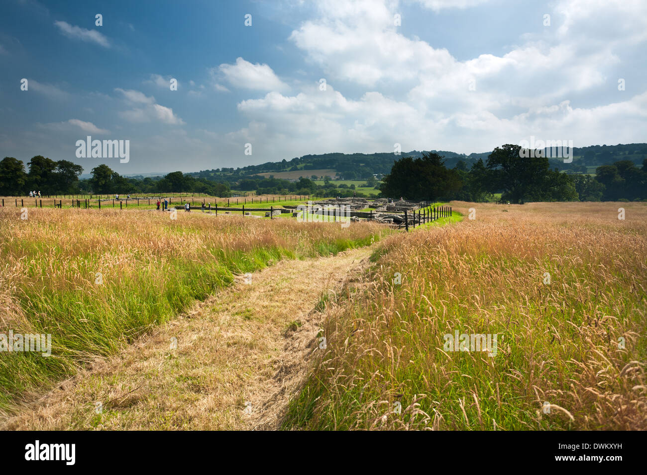 Barracks Layout, Chesters Roman Fort, Northumbria Stock Photo - Alamy