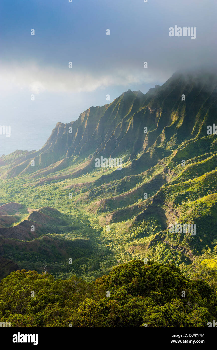 Kokee state park hawaii hi-res stock photography and images - Alamy
