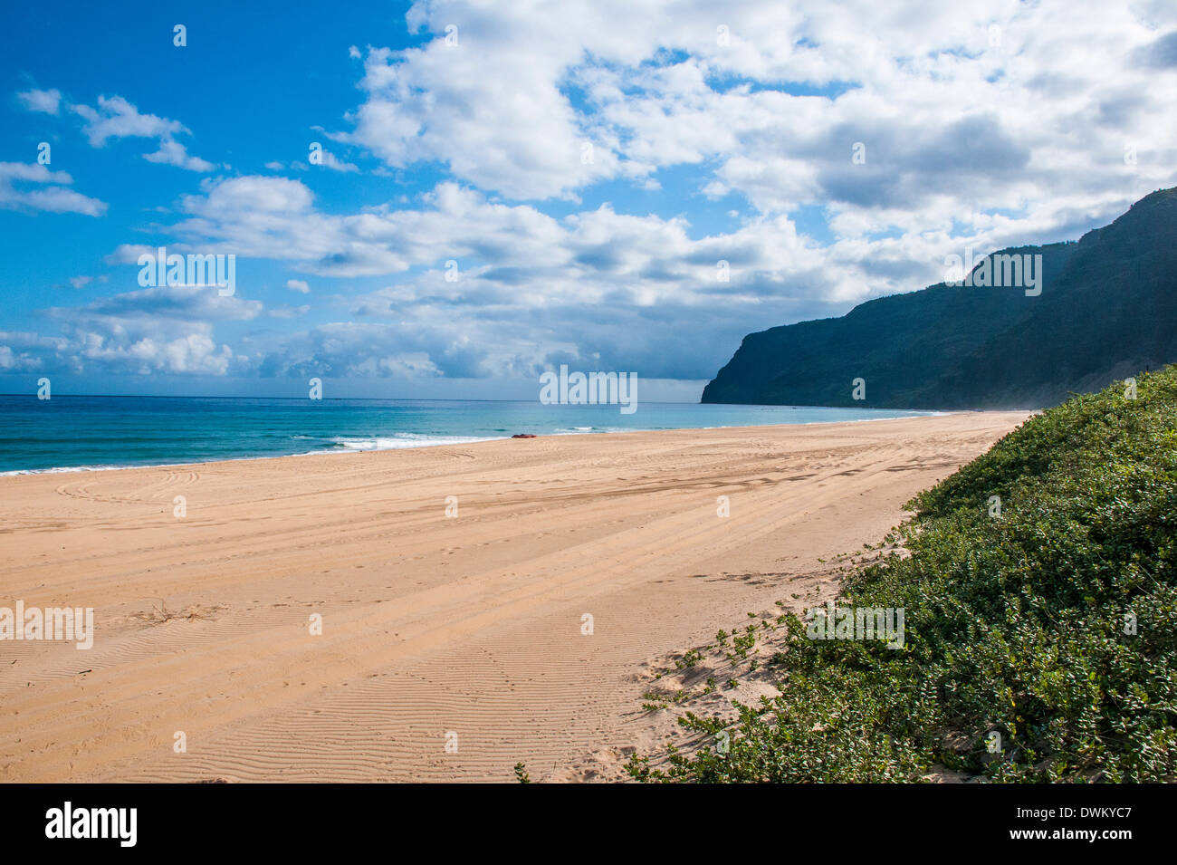 Long sandy beach in the Polihale State Park, Kauai, Hawaii, United ...
