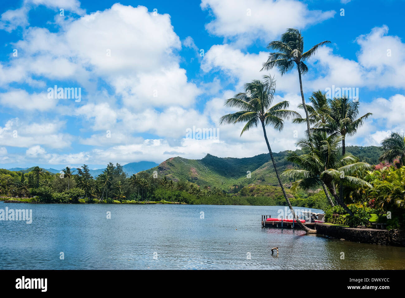 Wailua river hi-res stock photography and images - Alamy